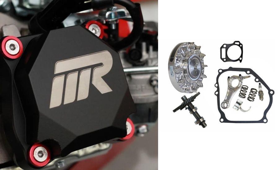 Hemi Vs Non-Hemi: Best Guide & Top Review | Bebefits