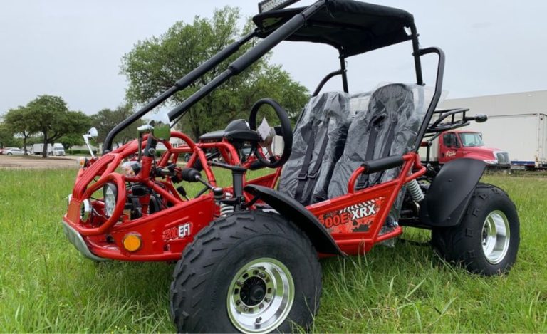 How Much Is A Go Kart For Adults: Top 5 Models & Best Guide